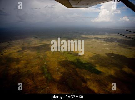 08 12 2008 - EVERGLADES NATIONAL PARK - Toren Hill, 24, of the USGS ...