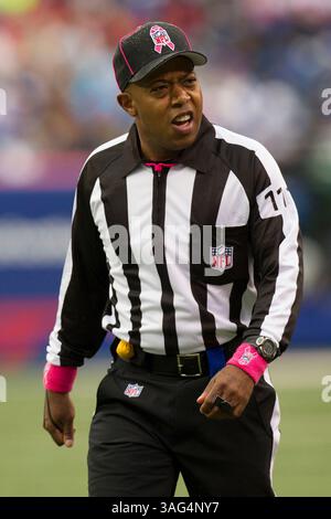 NFL back judge Terrence Miles smiles during an NFL football game ...