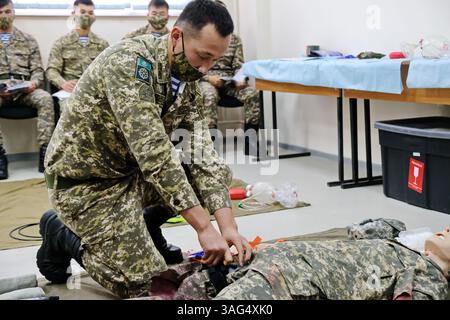 Training and special military exercises of the UN peacekeeping ...