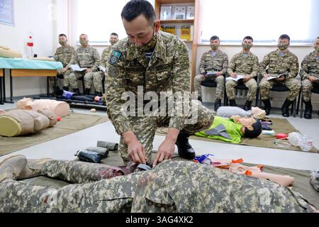 Training and special military exercises of the UN peacekeeping ...