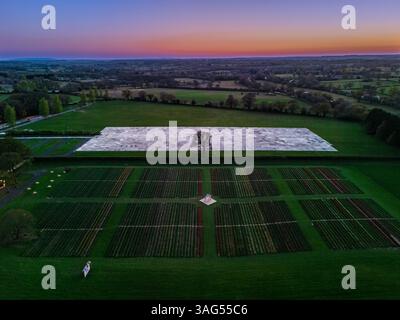 Tulleys Tulip Garden at Hatton Adventure World Stock Photo - Alamy