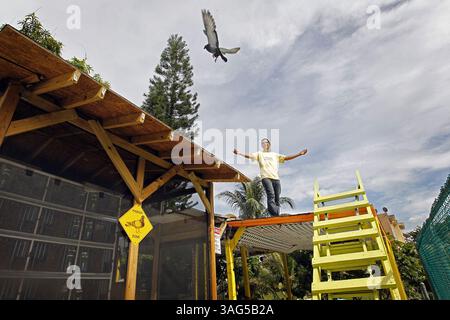 Roberto Fumero breeds and raises conquistador-Cuban pigeons to race in ...