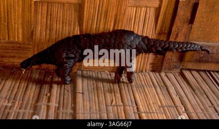 Man from galo tribe in traditional clothes with traditional hat on his ...