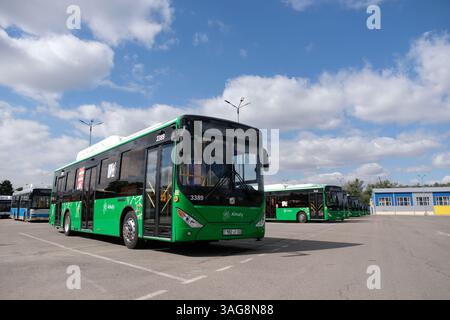 City buses stand behind each other in a large Parking lot of the fleet ...