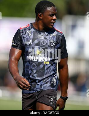 Emmanuel Tshituka of the Hollywoodbets Sharks during the Hollywoodbets ...