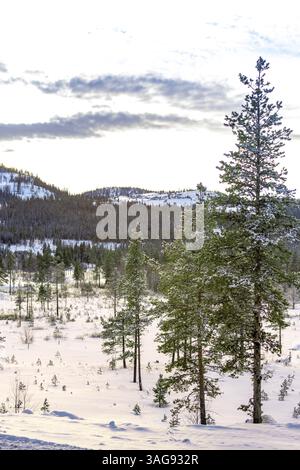 Landscape of the Norefjell Ski Resort covered in the snow under the ...