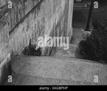 Steps near Shirley Butler's Room. March 21, 1954 Stock Photo - Alamy