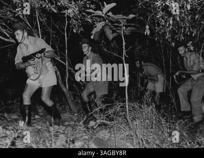 Australian soldiers undergo jungle training near Cairns readiness for ...