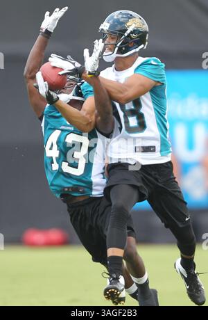 Jacksonville Jaguars wide receiver Brian Thomas Jr. (7) runs a route ...