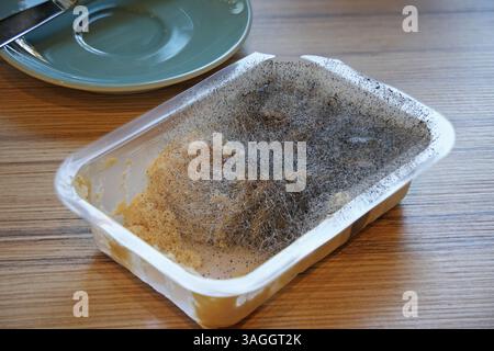 a box of humus covered with unappetizing mold on a table Stock Photo ...
