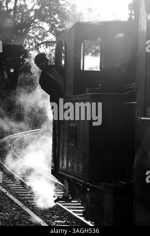 "The Earl" at Cyfronydd Stock Photo - Alamy