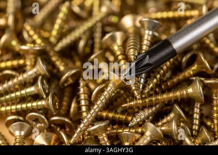 Side view of stainless steel screws and nuts isolated on white ...