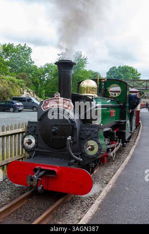 Steam locomotive Linda on the Ffestiniog Railway running through ...