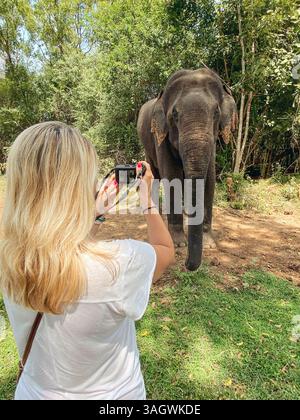 Elephant woman forest animal travel sanctuary feeding smile red shirt ...