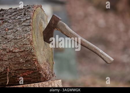 Axe in a log after throwing, logging Stock Photo - Alamy