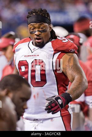 Arizona Cardinals Darnell Dockett talks on the sidelines during the ...