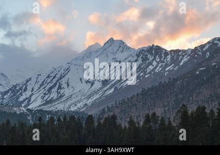 Beautiful Rama Meadows, Astore, Pakistan Stock Photo - Alamy