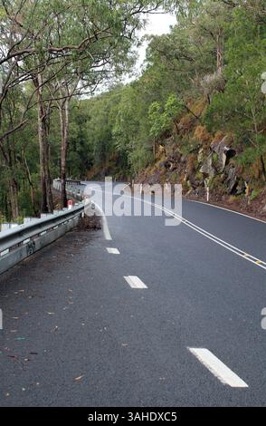 Winding road of the Gillies Highway through the mountains with trees in ...