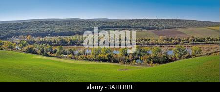 A rural landscape with a dense forest under a blue sky with fluffy ...