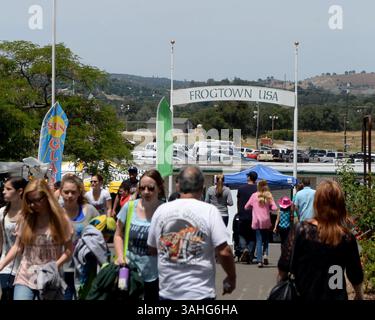 Jumping Frog Jubilee, Angels Camp, California. Annual event takes place ...