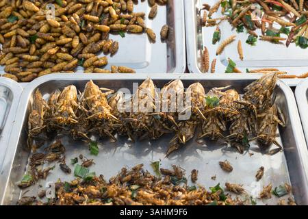 Fried insects various types is the food is easy to find in Thailand ...