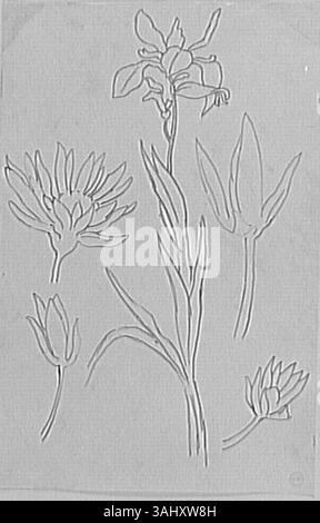 This study of flowers for 'The Daughters of Thespius' by Gustave Moreau ...