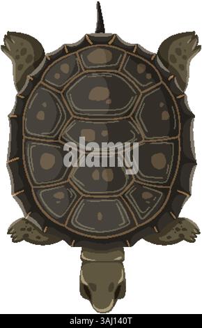 Illustration of a turtle from above perspective Stock Vector Image ...
