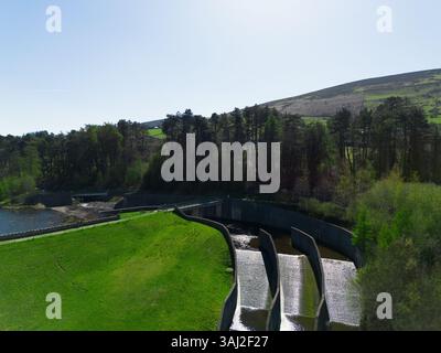 An aerial shot of a water dam surrounded by lush green trees Stock ...