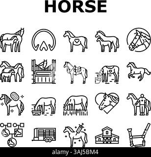 foal mare horse breeding line icon vector illustration Stock Vector ...