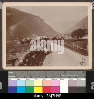 This 1891 photograph by Robert Breitinger captures a stained glass ...