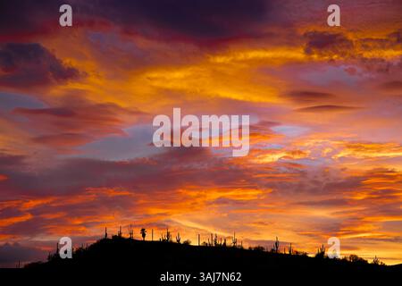 Glowing golden red sunset sky panorama. HDR 360 seamless spherical ...