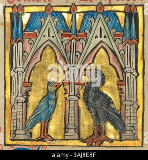 A Dove and a Falcon. Unknown Stock Photo - Alamy