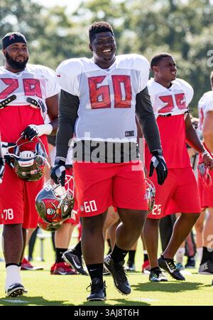 Tampa Bay Buccaneers offensive guard Alex Cappa (65) lines up against ...