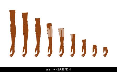 Set of Gloves Length Chart diagram with name text Elbow Short Wrist ...