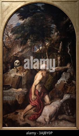 Saint Jerome in Penitence by Titian Stock Photo - Alamy