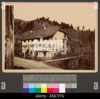 This 1889 photograph by Robert Breitinger shows Friesenbergstrasse ...