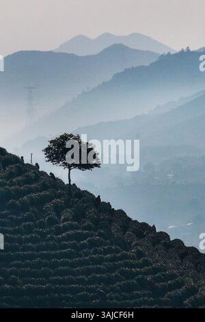 Beijing, China. 7th Apr, 2025. Chinese Vice Premier Zhang Guoqing, also ...