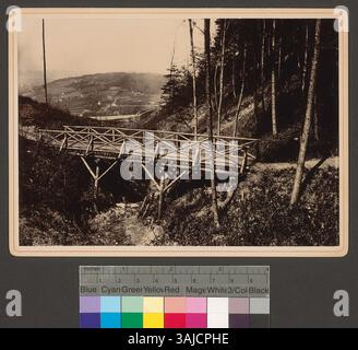This 1889 photograph by Robert Breitinger shows a wooden dock with ...