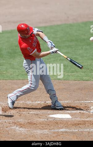 Tampa Bay Rays' Kameron Misner, right, celebrates with Travis Jankowski ...