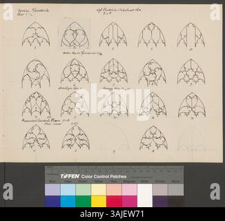 This work by Johann Rudolf Rahn, created between 1860 and 1910, copies ...