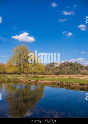 Nature Reserve, River Way and the Lammas Lands, Godalming, Surrey ...
