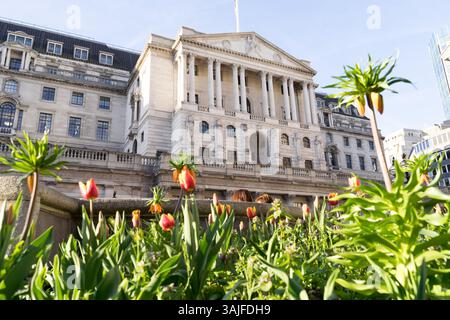 front façade view of Bank of England behind spring blossom London UK ...