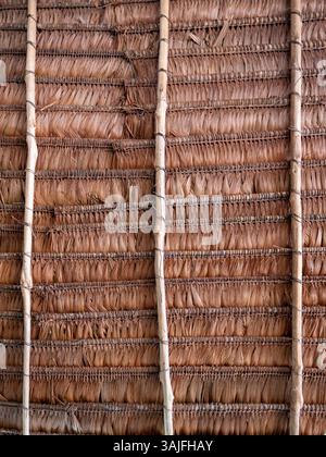 The thatched roof construction of a Maloca from the inside at an ...