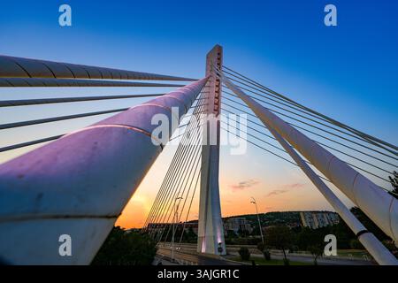 Millenium Bridge (Most Milenijum), a cable-stayed bridge that spans the ...