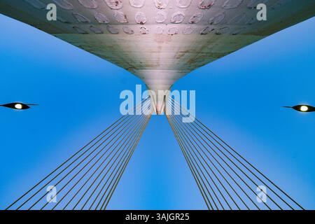 Millenium Bridge (Most Milenijum), a cable-stayed bridge that spans the ...