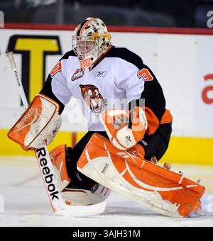 Profile photo on Medicine Hat Tigers RW Liam Ruck during WHL (Western ...