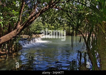 The Roper River in the forest of the tropical Elsey National Park ...