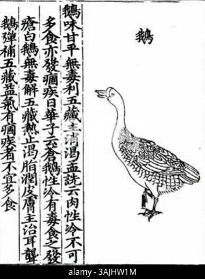 This 1456 illustration showcases an animal and its medicinal properties ...