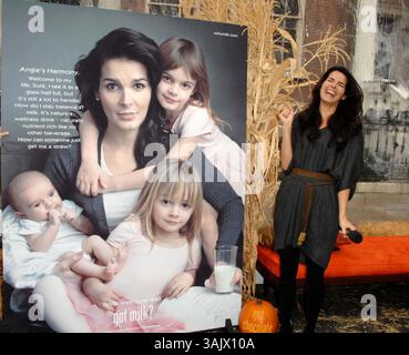 Angie Harmon Attends The Unveiling Of Angie Harmon's New Got Milk? Ad ...