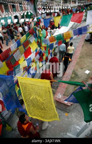 May 09, 2009 - Kathmandu, Nepal - A pilgrim kneels down to a Dalai Lama ...